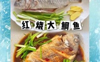 鲷鱼怎么做好吃_清蒸鲷鱼做法步骤