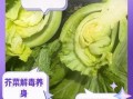 芥菜种类有哪些_芥菜图片怎么区分