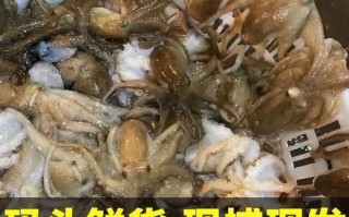 八爪鱼怎么清洗_八爪鱼清洗内脏步骤