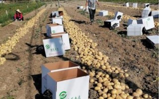 马铃薯之乡在哪里_马铃薯之乡旅游攻略 马铃薯之乡在哪里_马铃薯之乡旅游攻略