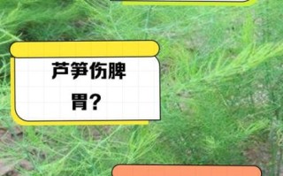 女人吃竹笋的危害_经期能不能吃竹笋