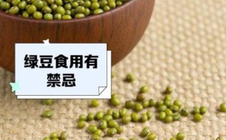绿豆不能和什么一起吃_哪些食物与绿豆相克