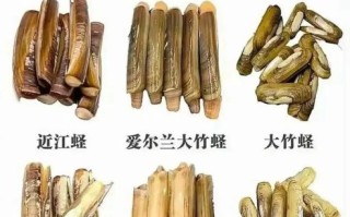 蛏子哪些部位不能吃_蛏子怎么吃最鲜美
