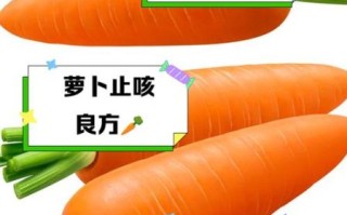 萝卜投资怎么样_萝卜投资风险大吗