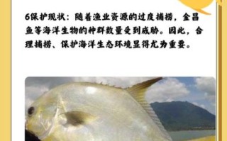 鲳鱼是深海鱼吗_鲳鱼属于什么鱼类