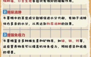 牛蒡是什么_牛蒡的功效与作用