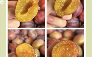 西梅怎么吃最通便_西梅通便的正确吃法