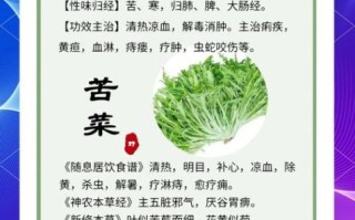 苦菜哪些人不能吃_苦菜禁忌人群有哪些