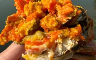 阳澄湖大闸蟹好吃吗_现在还能吃到正宗的吗