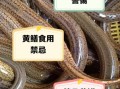 黄鳝寄生虫多不多_怎么安全吃黄鳝