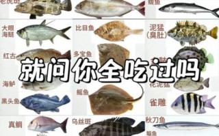 常吃的深海鱼有哪些品种_营养价值排行榜