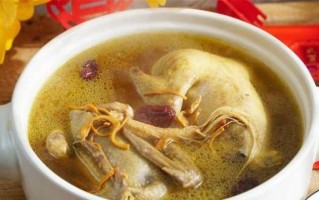 鸽子肉是发物吗_术后能吃吗