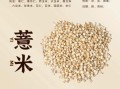 长期吃薏米的坏处_薏米吃多了有什么副作用