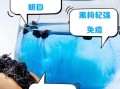 黑枸杞怎么泡水喝_黑枸杞泡水水温多少度合适