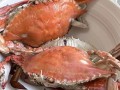 蒸海螃蟹用冷水还是热水_蒸多久才最鲜嫩