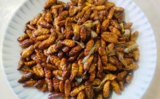 连续吃蚕蛹一个月会怎样_蚕蛹每天吃多少合适