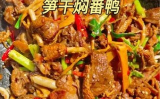 鸭子怎么做好吃_家常鸭子做法大全