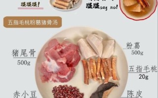 五指毛桃粉葛煲猪骨汤的功效_怎么做才最祛湿