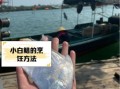 淡水白鲳怎么钓_淡水白鲳钓法技巧