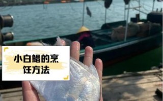 淡水白鲳怎么钓_淡水白鲳钓法技巧