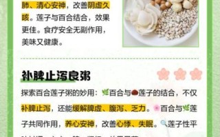 百合粥的禁忌_哪些人不能吃百合粥