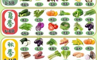 秋天有哪些时令蔬菜_秋季蔬菜怎么挑