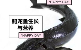 鲟鱼怎么杀图解步骤_鲟鱼宰杀前怎么处理