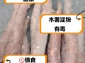 木薯淀粉有毒吗_如何安全食用