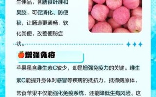 苹果的营养价值_每天吃苹果有什么好处