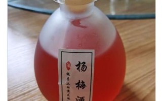 杨梅酒怎么泡最好_泡杨梅酒用什么酒最好