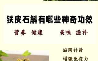 石斛对身体有什么好处_石斛怎么吃效果最好
