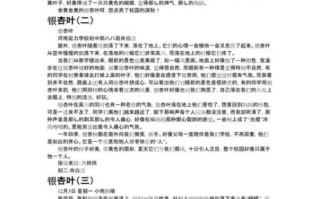 银杏树叶子像什么_二年级写作怎么写