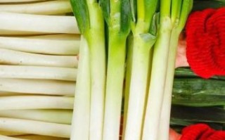 葱白是什么_葱白和葱绿的区别