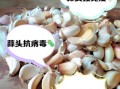 蒜头有什么功效与作用_哪些人不能吃蒜头