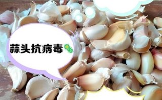 蒜头有什么功效与作用_哪些人不能吃蒜头