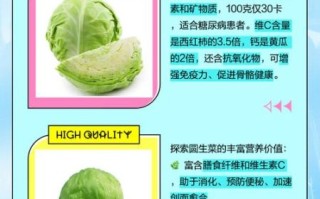 圆白菜是什么菜_圆白菜和包菜的区别
