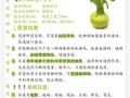 芥菜的营养价值_芥菜有哪些营养成分