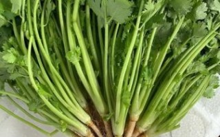 香菜图片高清_如何拍摄出细节纹理