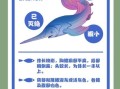 长江鱼类大全有哪些_如何区分珍稀与常见