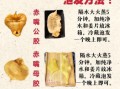 鱼胶最简单的吃法_鱼胶怎么泡发最快