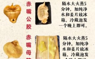 鱼胶最简单的吃法_鱼胶怎么泡发最快