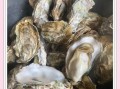 海蛎子怎么煮_水煮海蛎子几分钟能熟