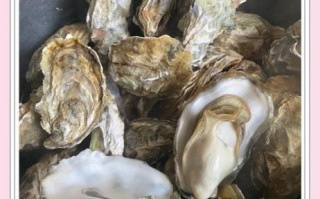海蛎子怎么煮_水煮海蛎子几分钟能熟