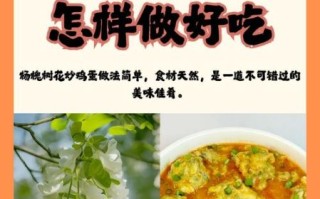 洋槐花的功效与作用_洋槐花怎么吃最好