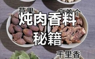 清炖牛肉放什么调料_清炖牛肉需要哪些香料