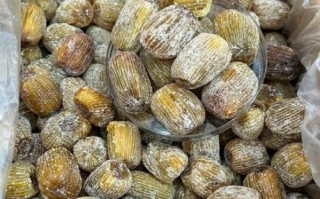 蜜枣粽子怎么做_蜜枣粽子做法视频详细步骤