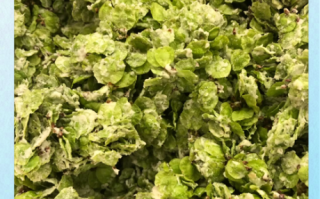 榆钱粥怎么做_榆钱粥的吃法大全