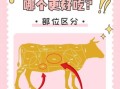 牛腩是牛的哪个部位_牛腩和牛肋条区别