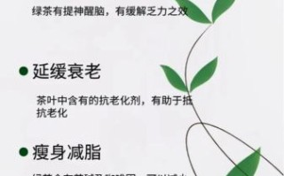 女人长期喝绿茶的好处和坏处_女性每天一杯绿茶会伤胃吗
