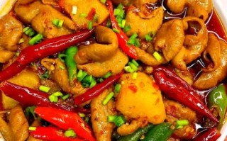 家常肥肠怎么炖好吃_肥肠炖多久才软烂